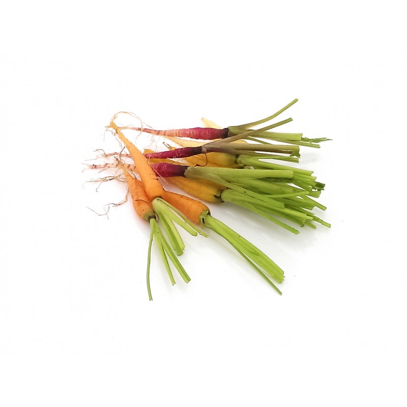 Micro wortelmix koop je online bij PUURgroenten
